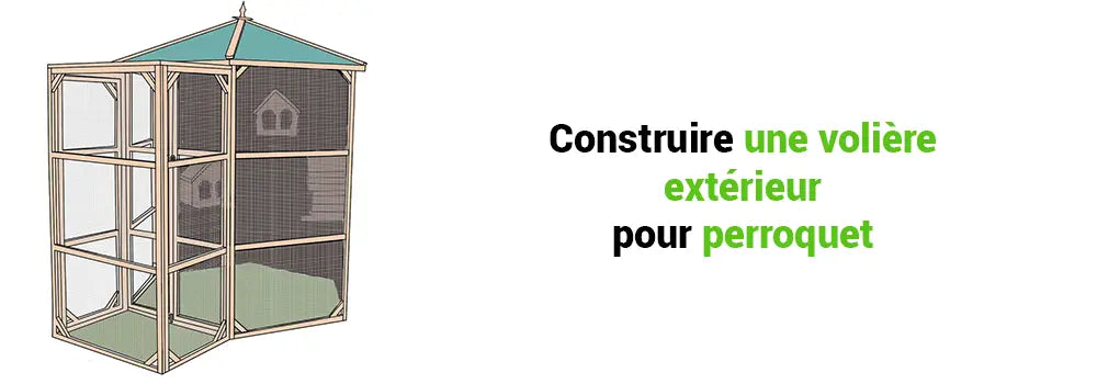 CONSTRUIRE UNE VOLIÈRE EXTÉRIEUR POUR PERROQUET – Univers du perroquet