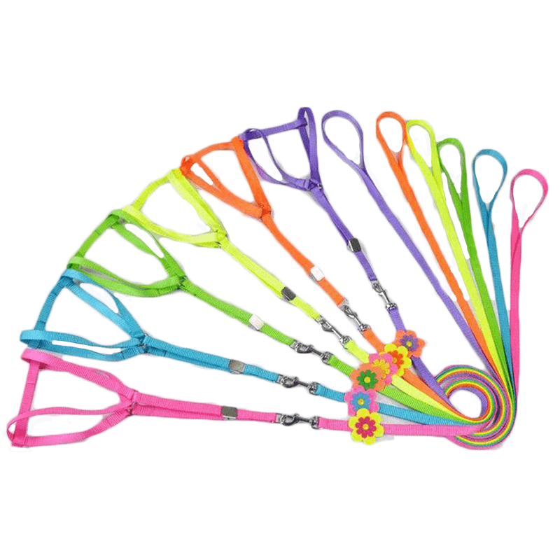 Harnais de protection pour perroquet – Univers du perroquet